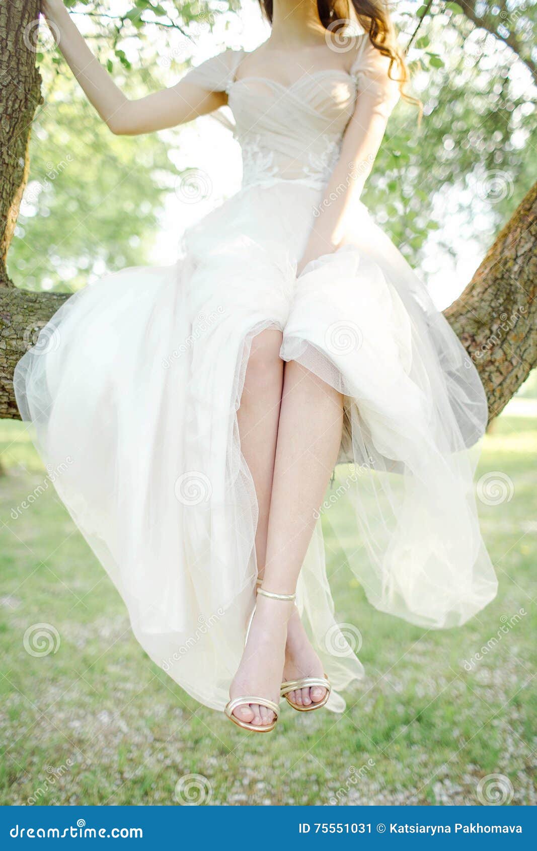 Young Bride in Beautiful Wedding Dress Sitting on Tree Outdoors Stock ...
