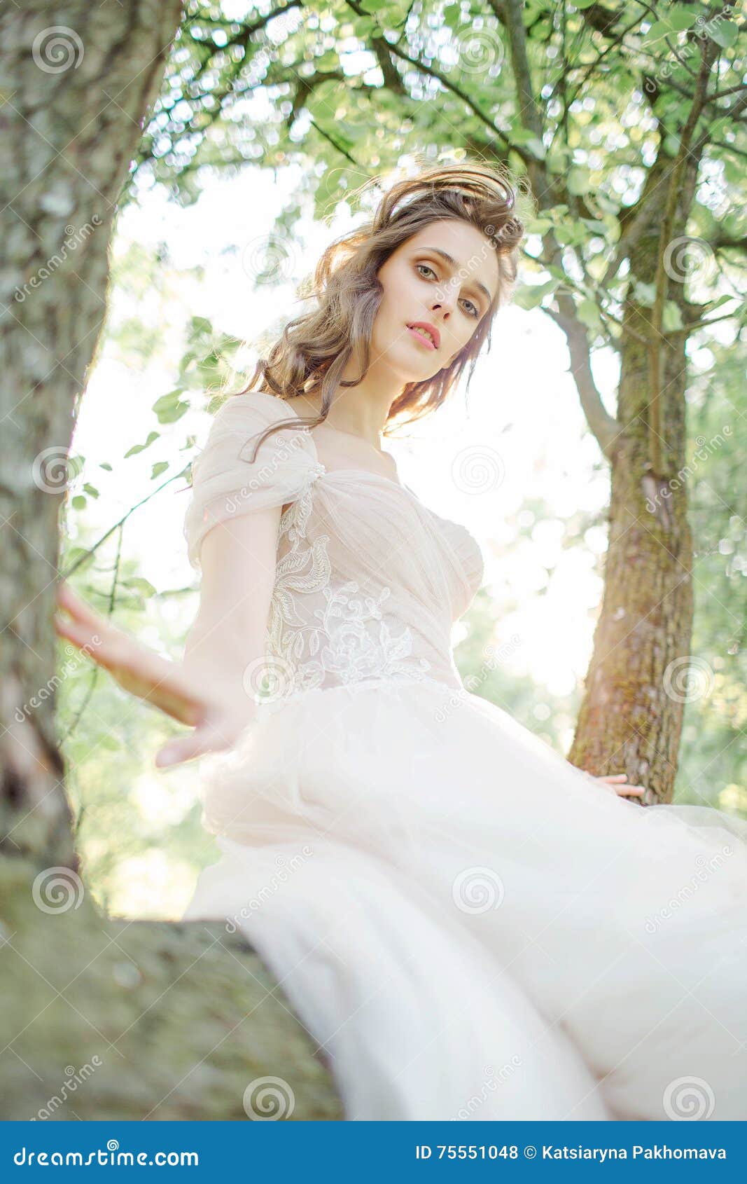 Young Bride in Beautiful Wedding Dress Sitting on Tree Outdoors Stock ...