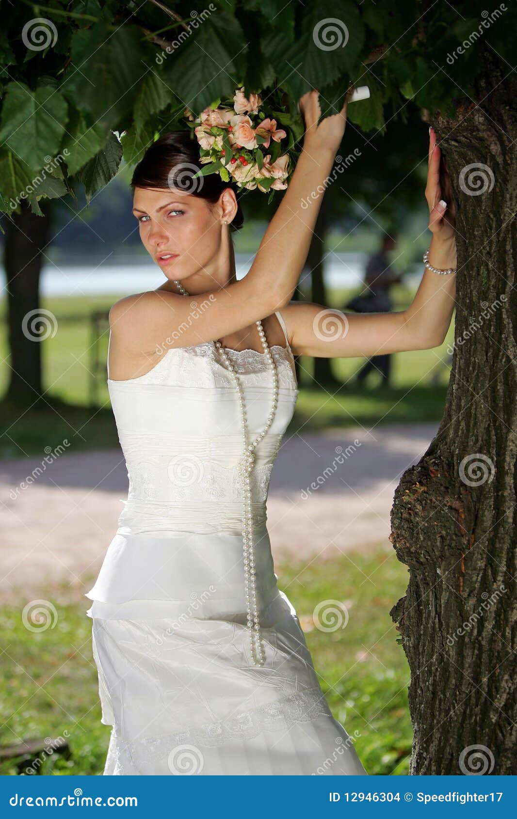 Young bride under tree stock photo. Image of looks, married - 12946304