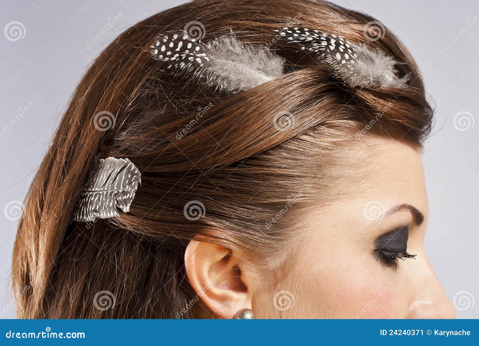 Young Brunette Lady with Luxury Accessories Stock Image - Image of ...