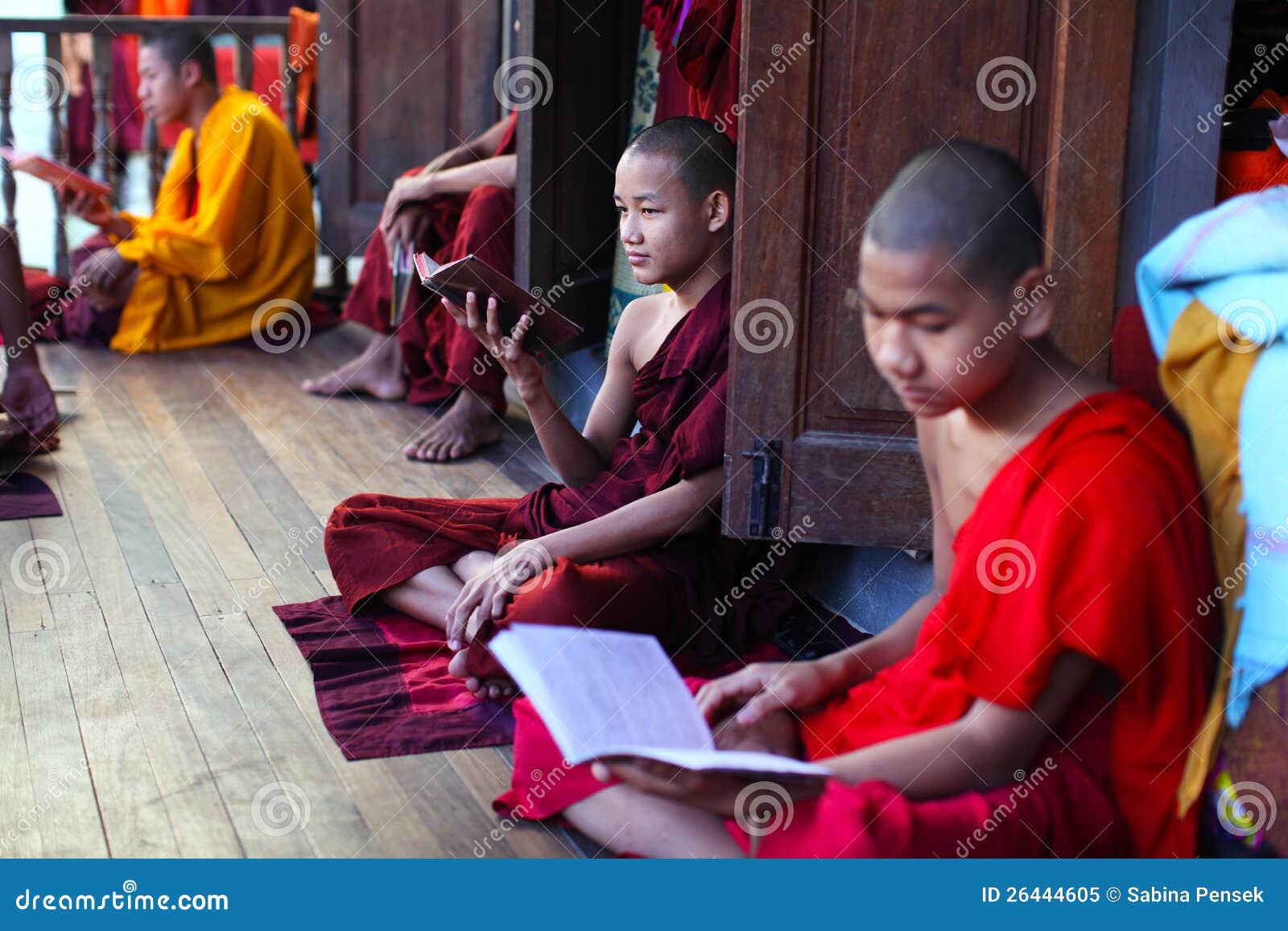 Young Buddhist Monks Studying at the Monastery Editorial Image - Image ...