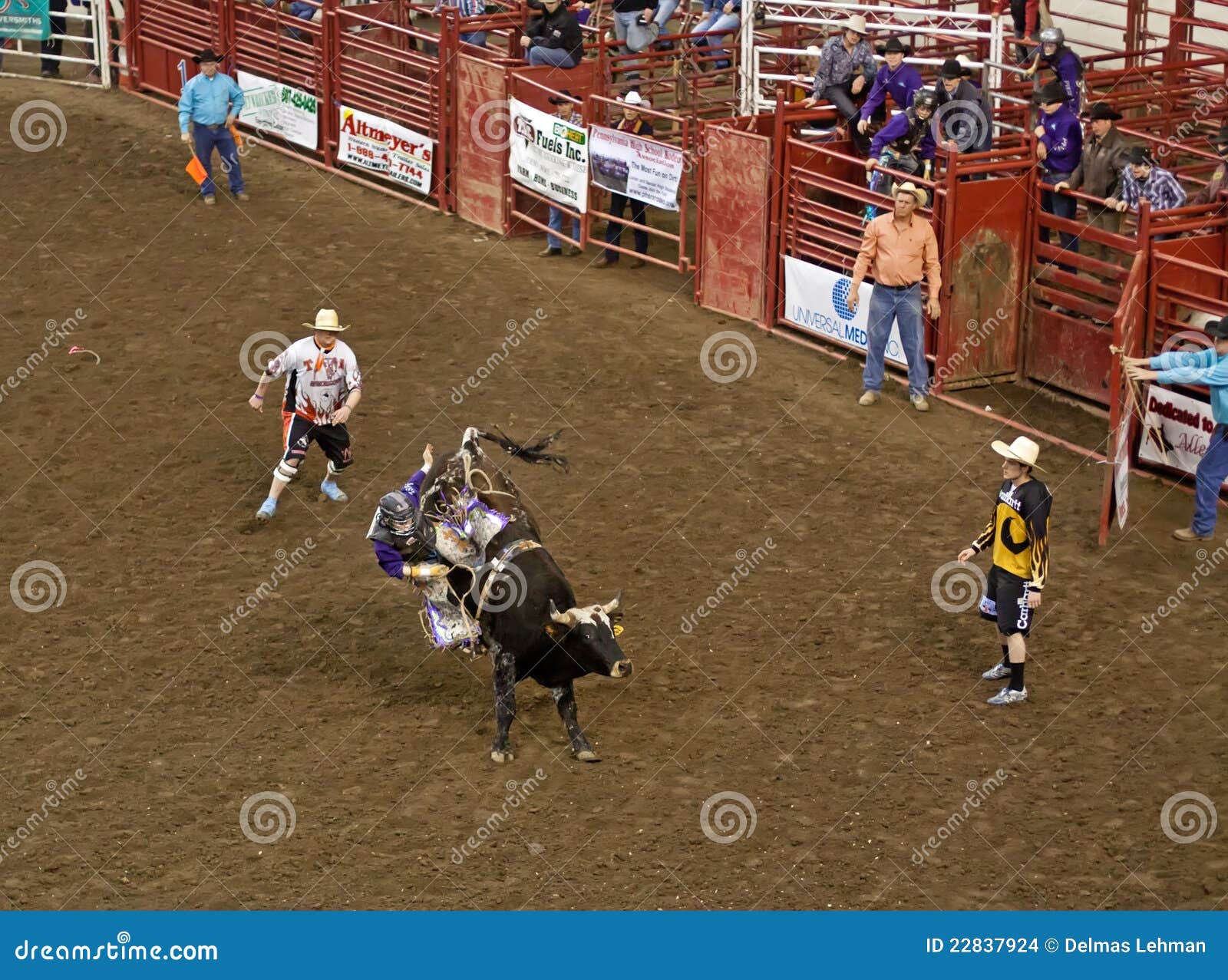 Young Bull Rider editorial stock image. Image of sport - 22837924