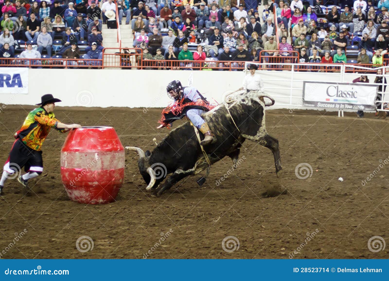 Young Bull Rider editorial stock image. Image of crowd - 28523714