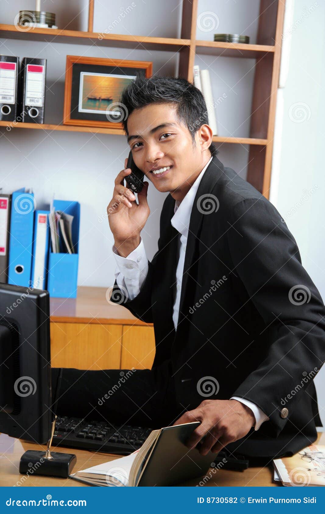 Young business executive stock photo. Image of dress, achievement - 8730582
