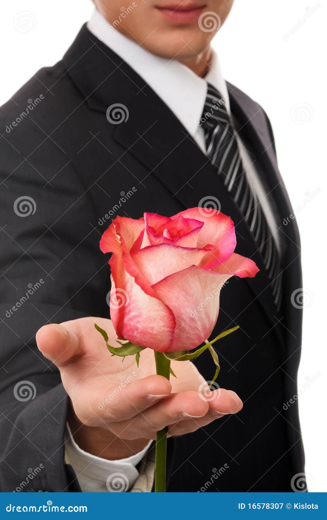 Young Business Man Hold Rose Stock Image - Image of male, clothing ...