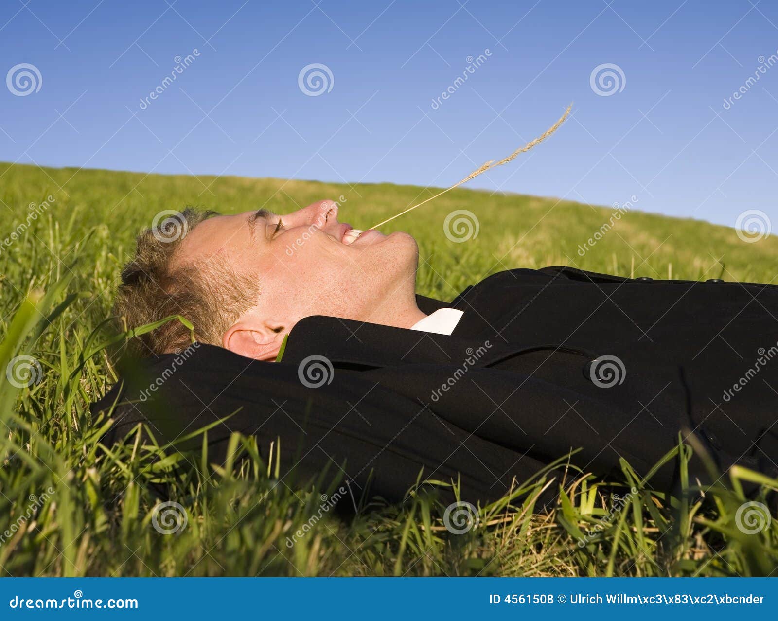 Young Business Man Relaxing Stock Photo - Image of resting, business ...