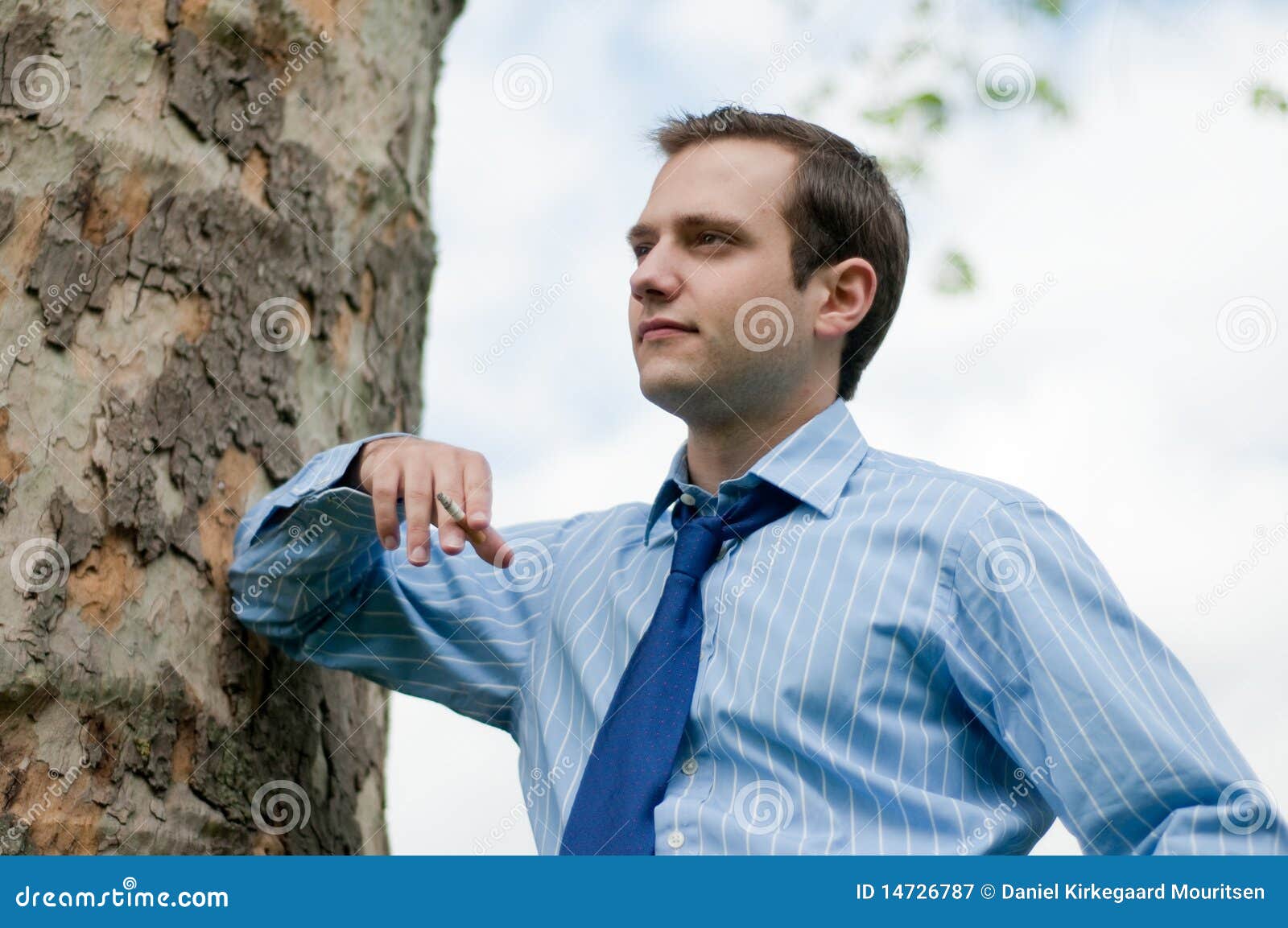 Young Businessman Leaning Against a Tree Stock Image - Image of grey ...