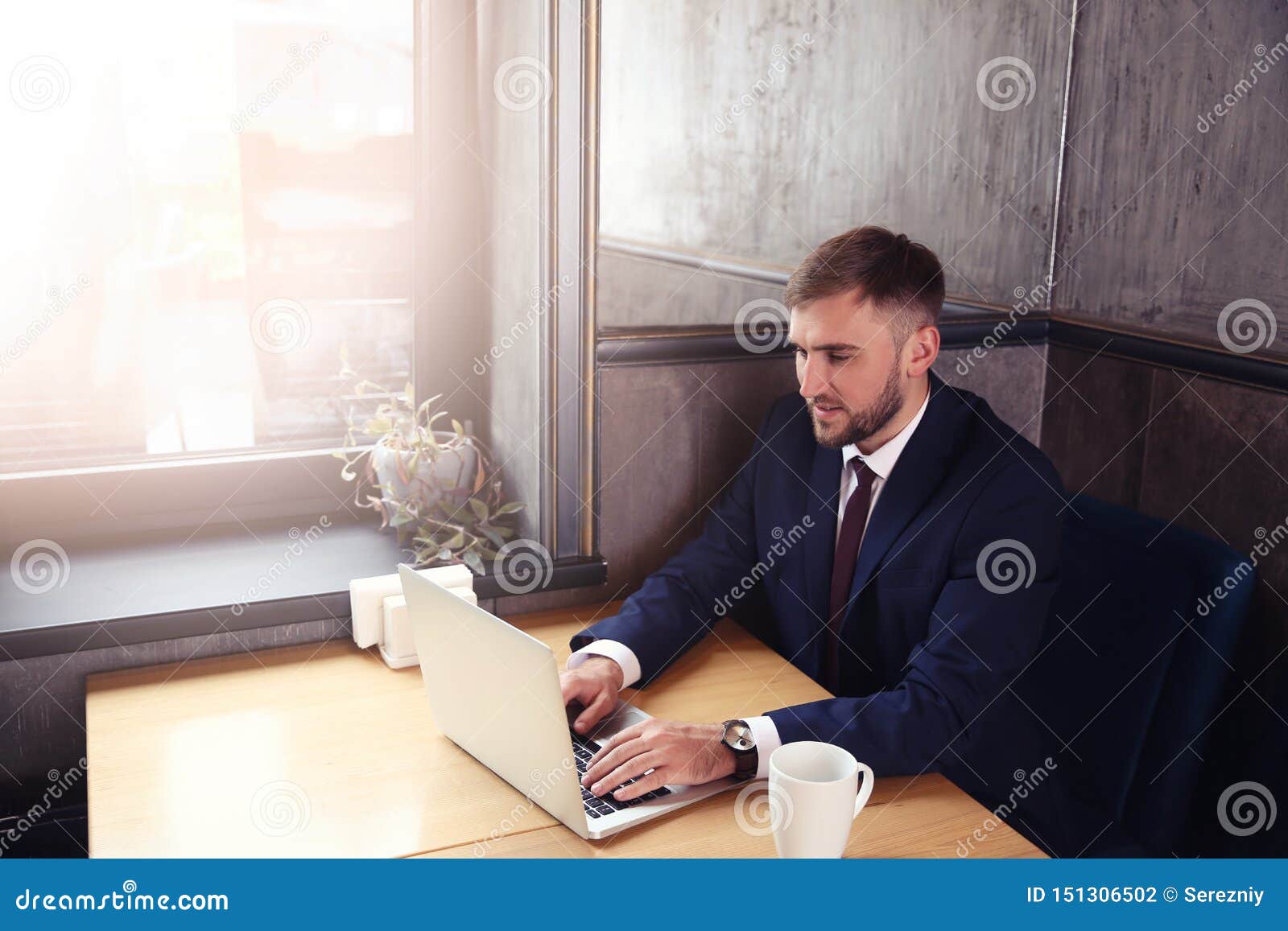 Young Businessman Working on Laptop in Cafe Stock Photo - Image of ...