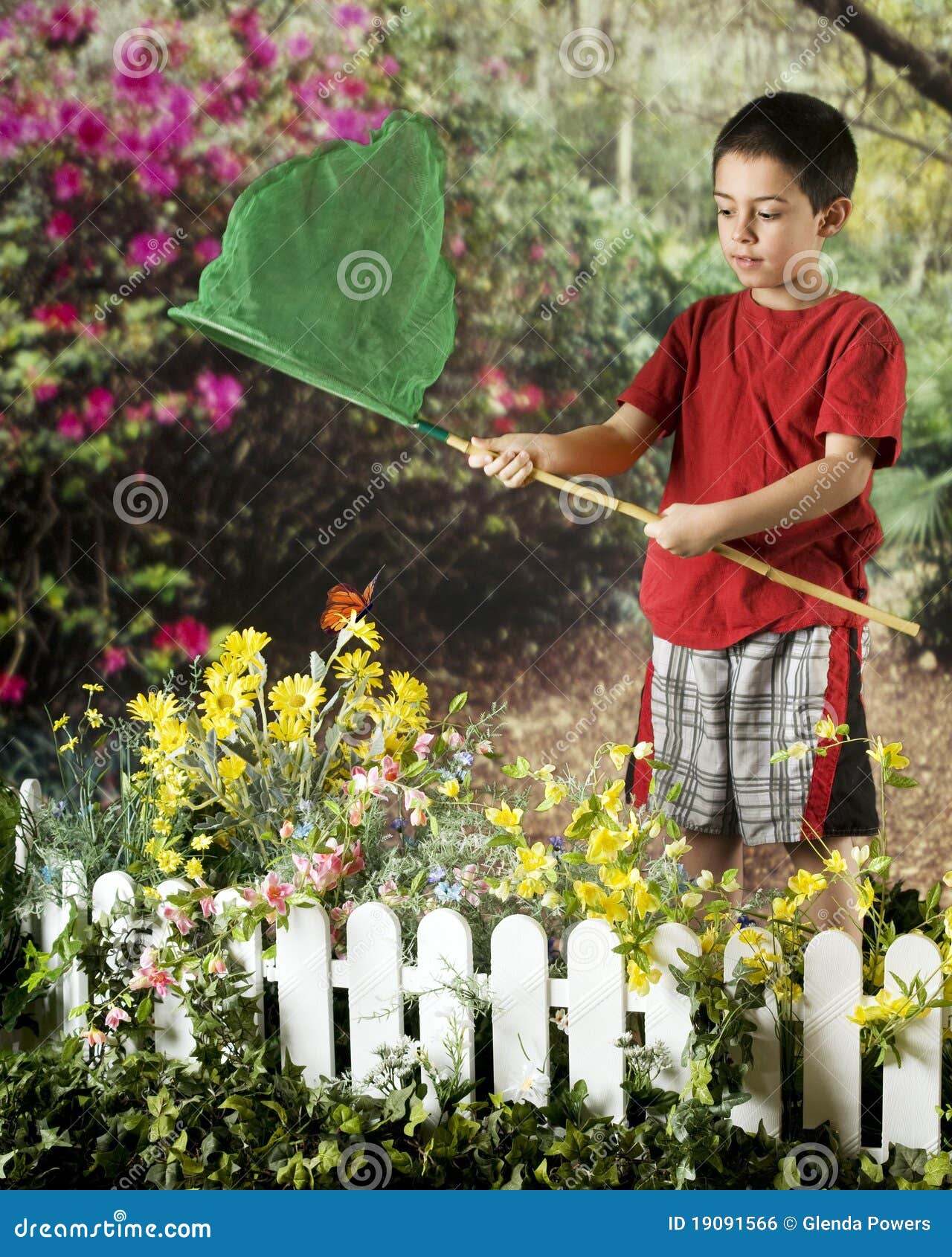 Young Butterfly Catcher stock photo. Image of fence, summer - 19091566