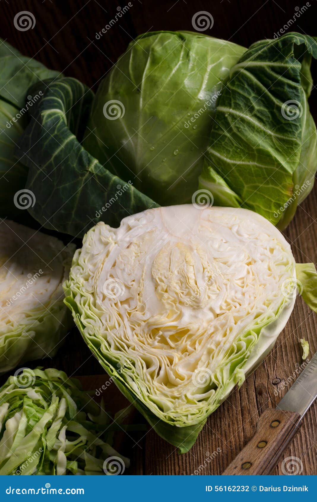 Young cabbage stock photo. Image of gardening, brassica - 56162232