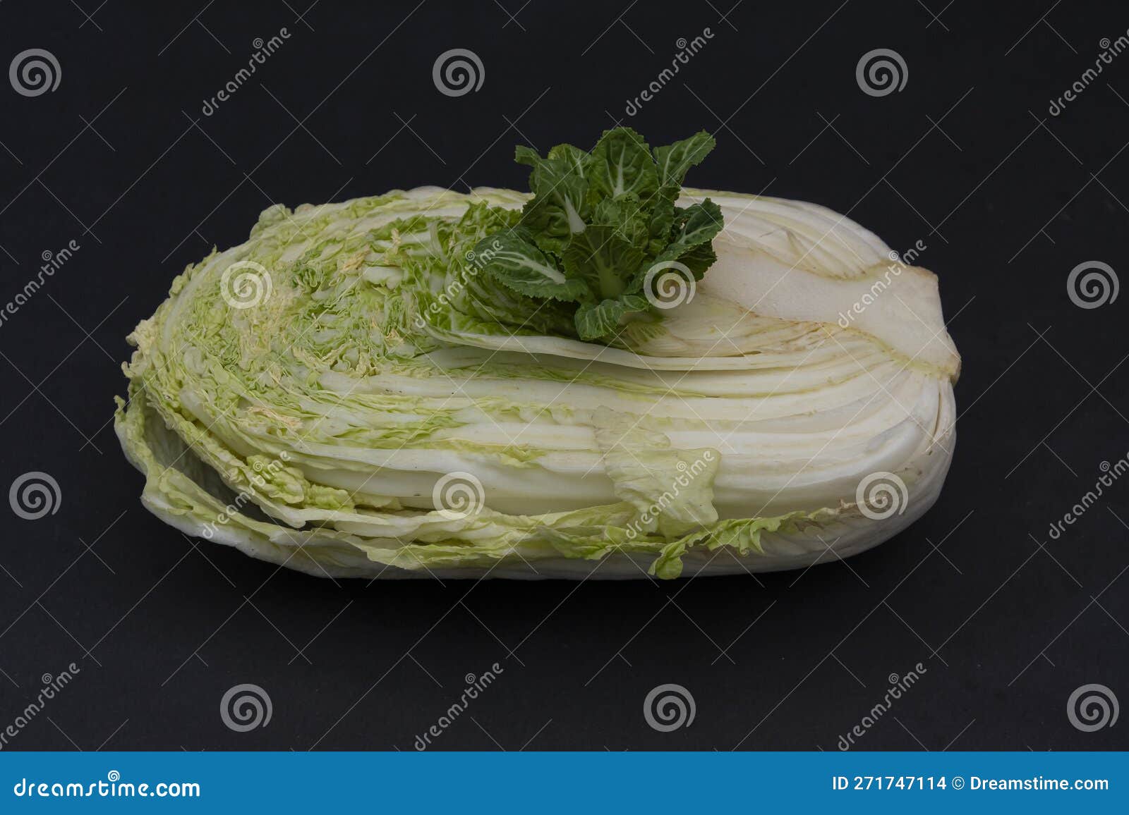 Young Cabbage Sprouted from Half a Peking Cabbage on a Black Background ...