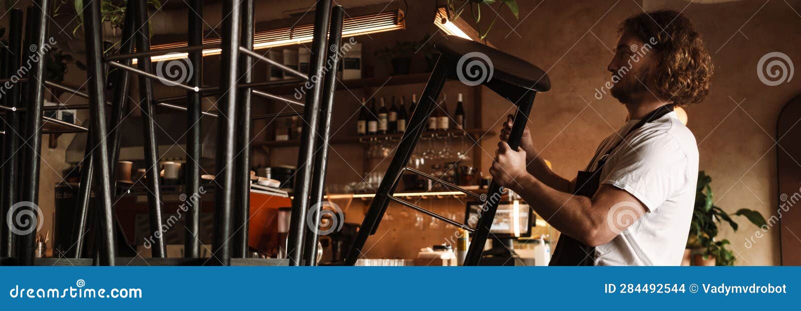 Young Cafe Employee in Apron Working Indoors Stock Photo - Image of ...