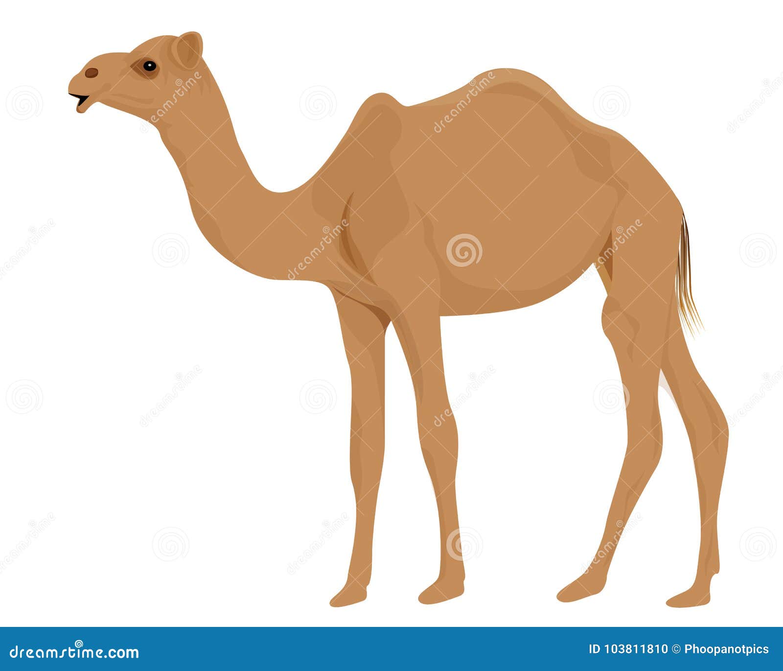 Carmel Cartoons, Illustrations & Vector Stock Images - 846 Pictures to ...