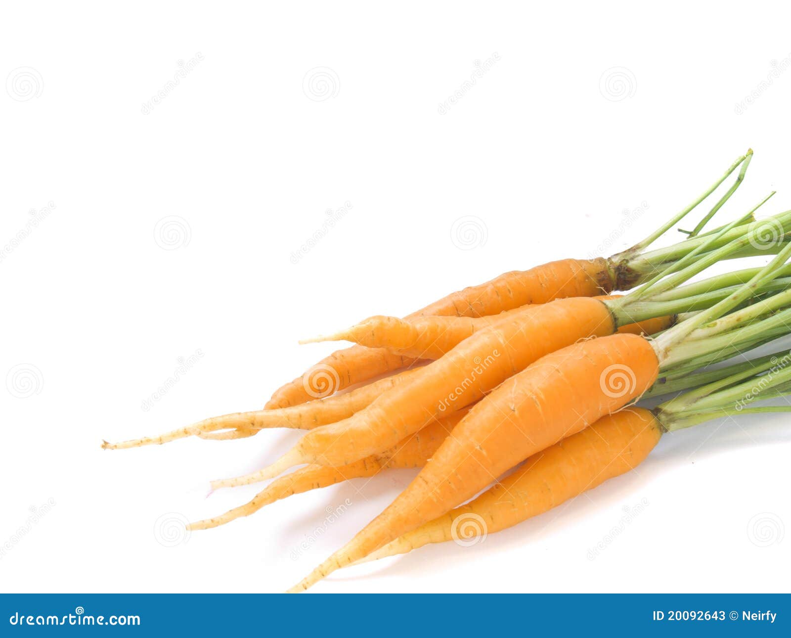 Young carrot isolated stock image. Image of healthy, harvest - 20092643