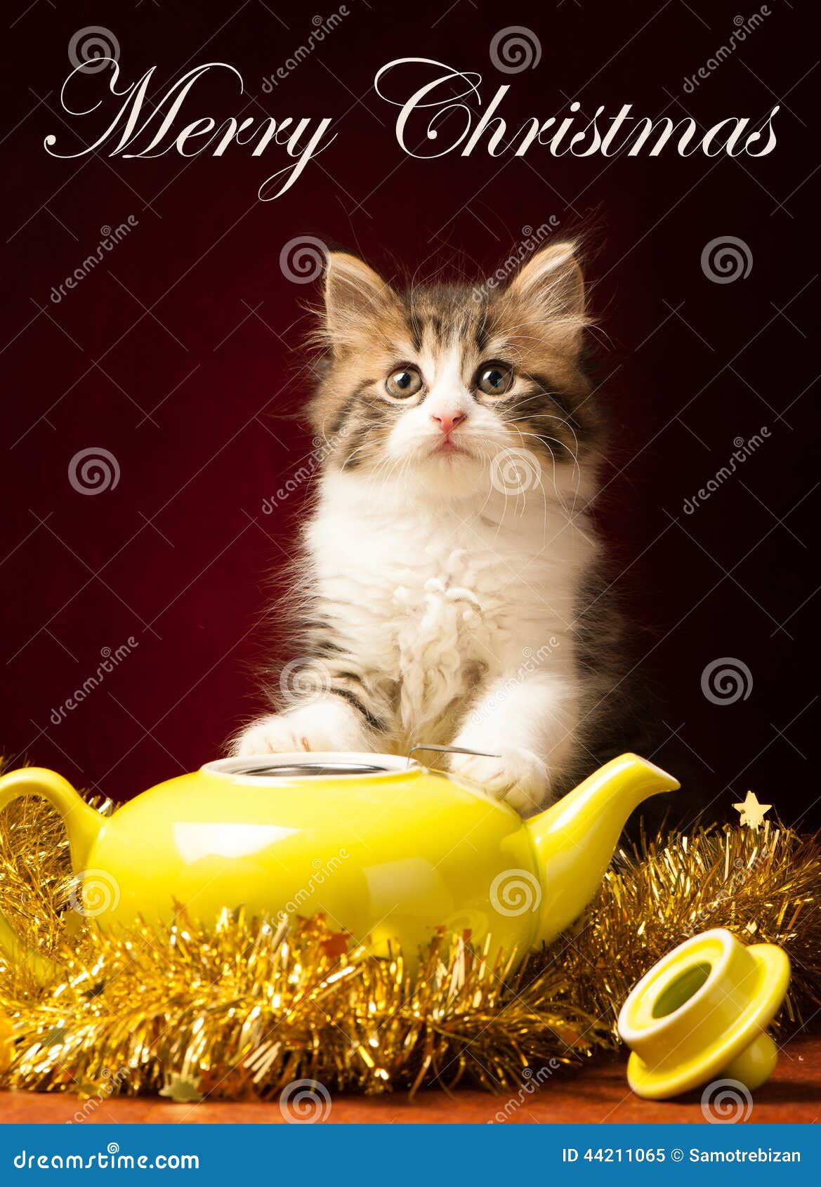 Young Cat Playing with Christmas Ornaments Stock Image - Image of ...