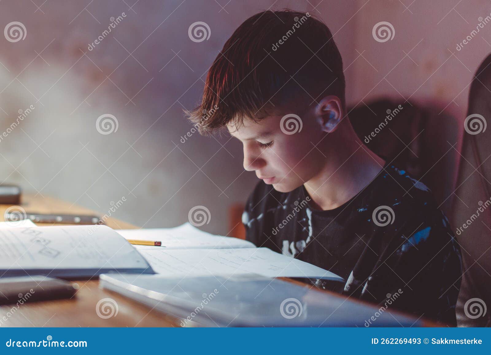 Young Diligent Boy Learning at Evening Stock Image - Image of pupil ...