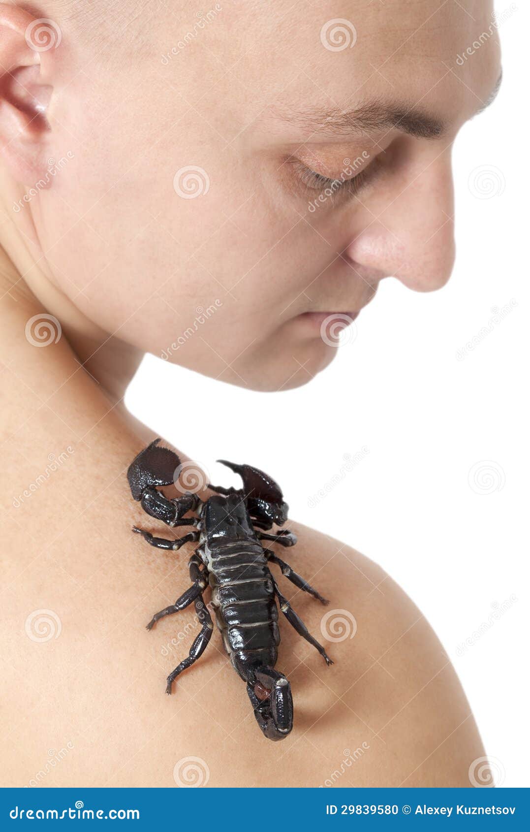 Young Man Scorpion His Shoulder Stock Photos - Free & Royalty-Free ...