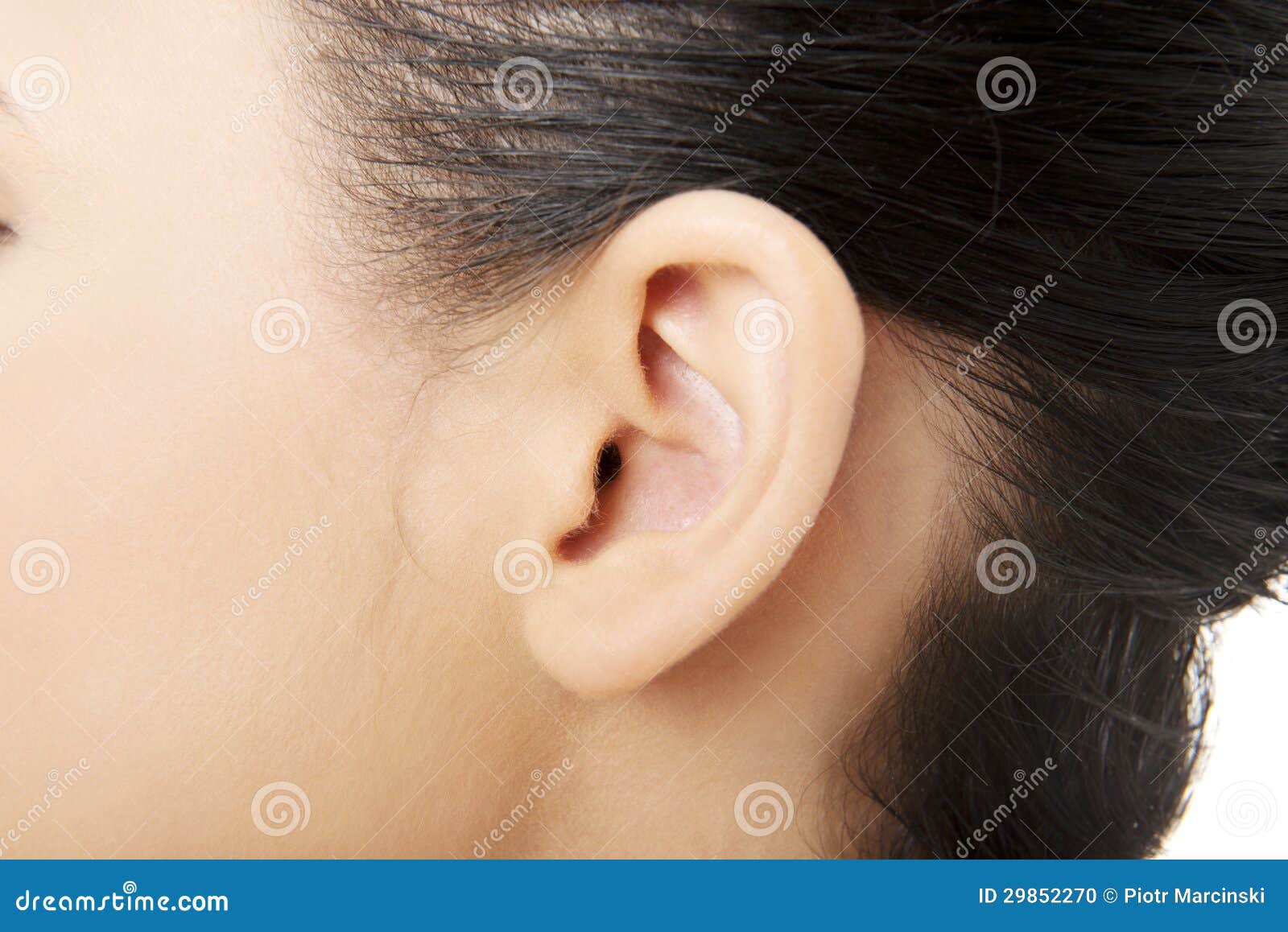 Ear stock photo. Image of closeup, caucasian, hear, anatomy - 29852270