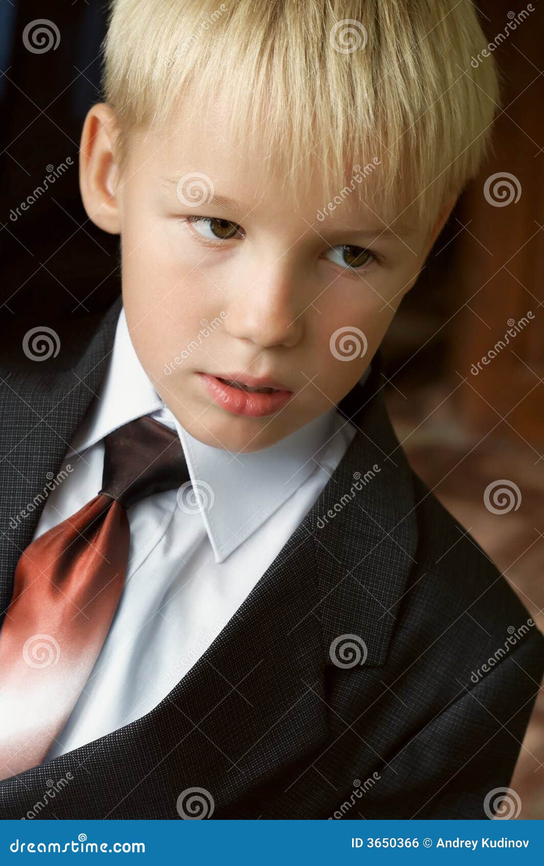 Young CEO stock photo. Image of dress, study, leader, office - 3650366