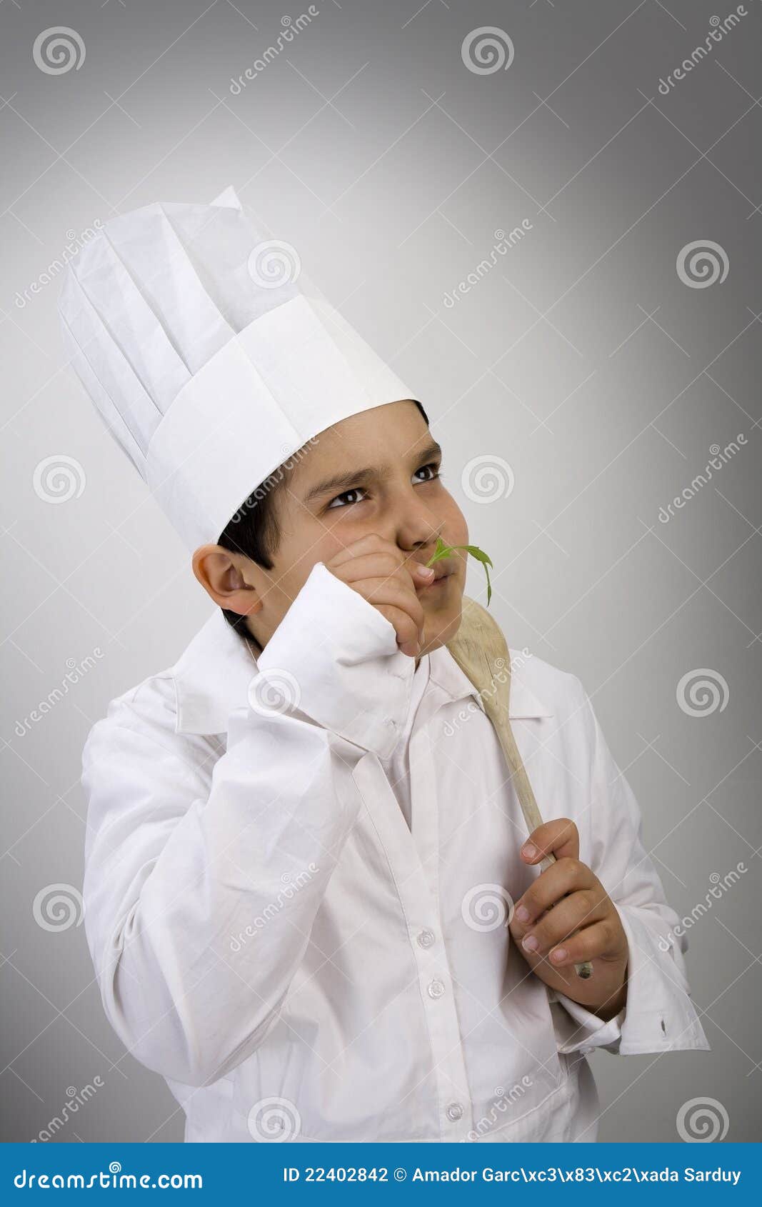 Young chef stock photo. Image of cuisine, person, handsome - 22402842