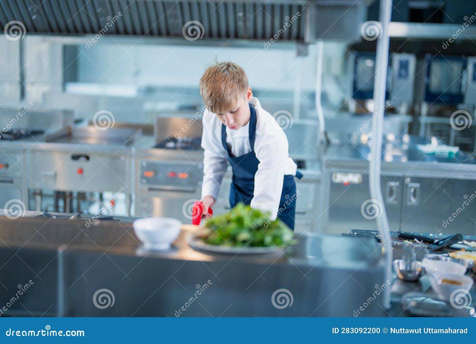 Young Chef Cooking at Restaurant Kitchen Stock Photo - Image of kitchen ...
