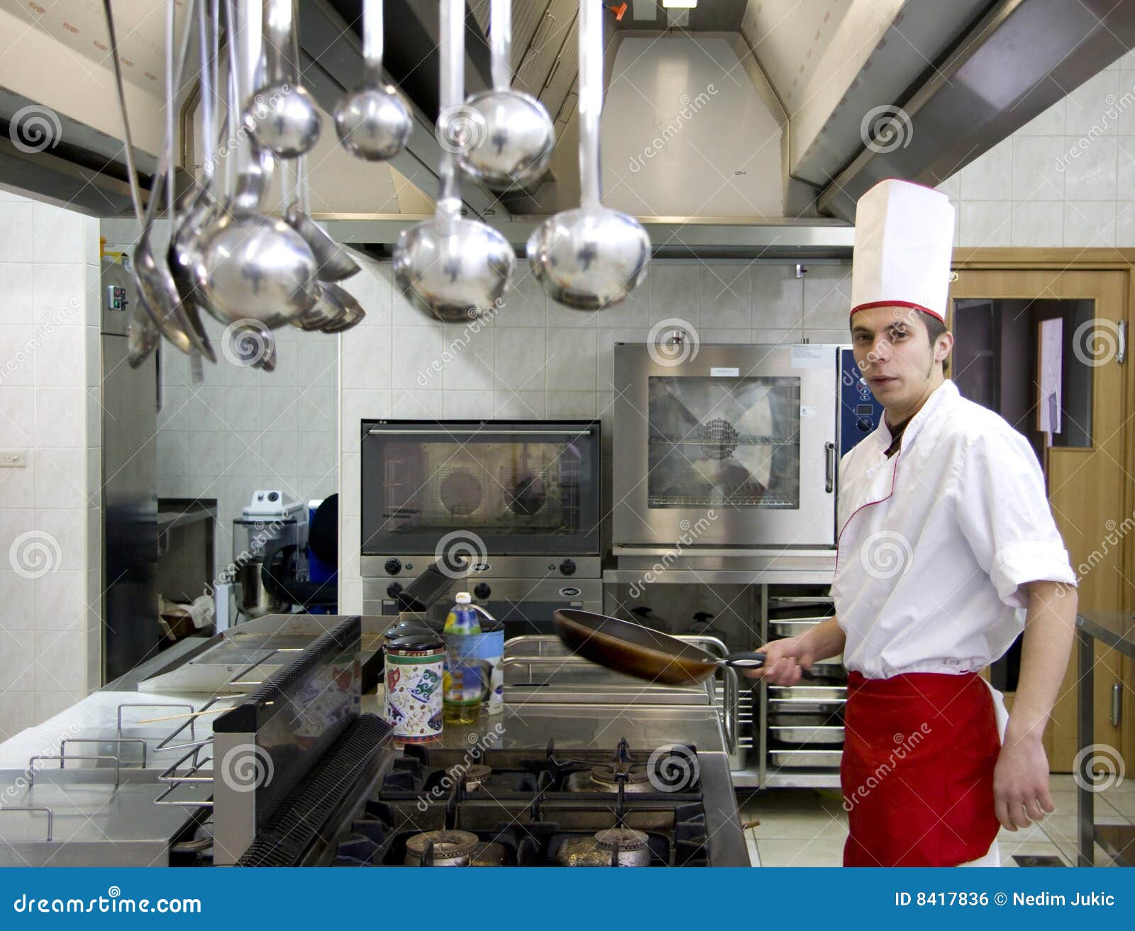 Young chef working stock photo. Image of chef, indoor - 8417836