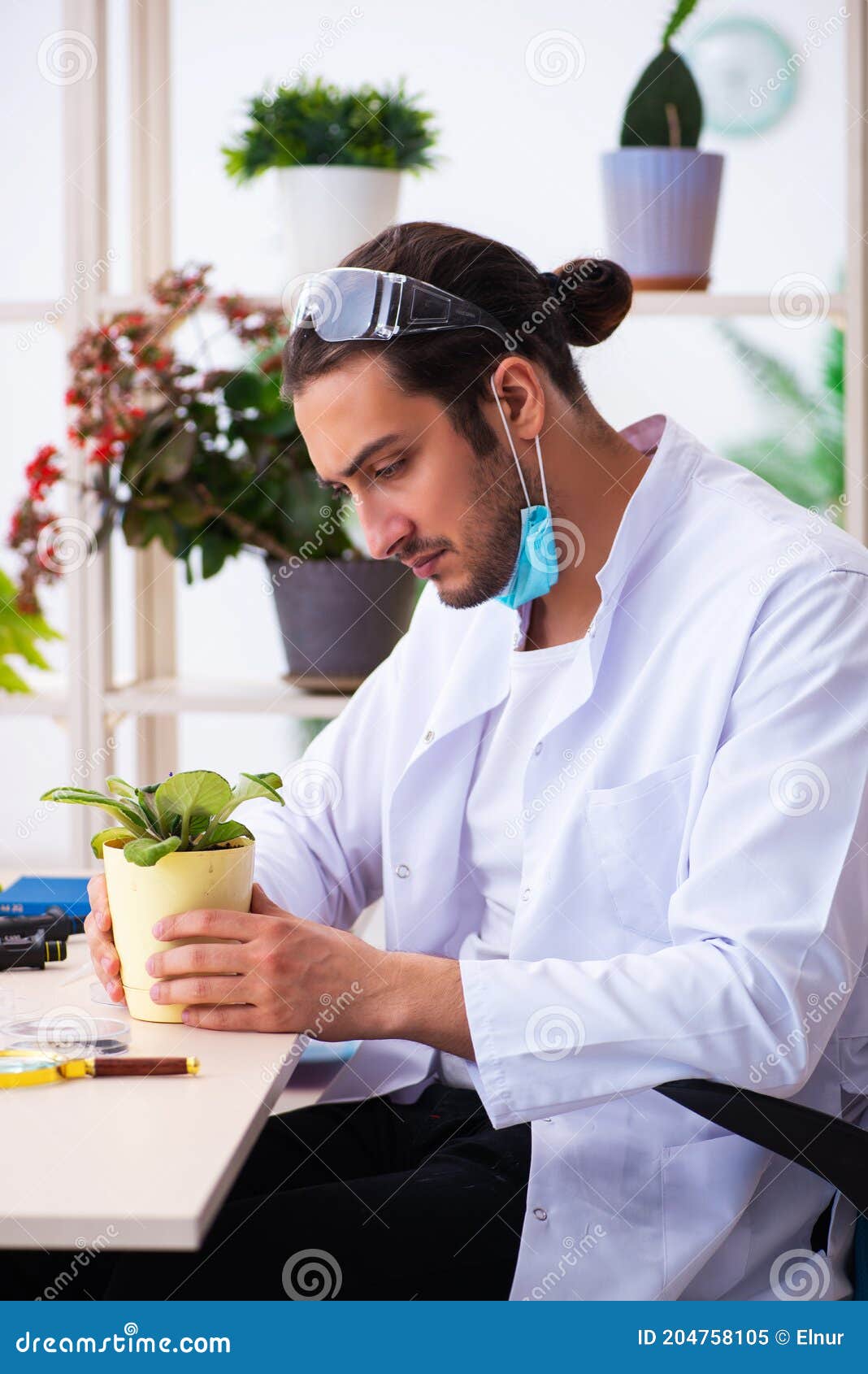 Young Male Chemist Perfumer Working in the Lab Stock Image - Image of ...