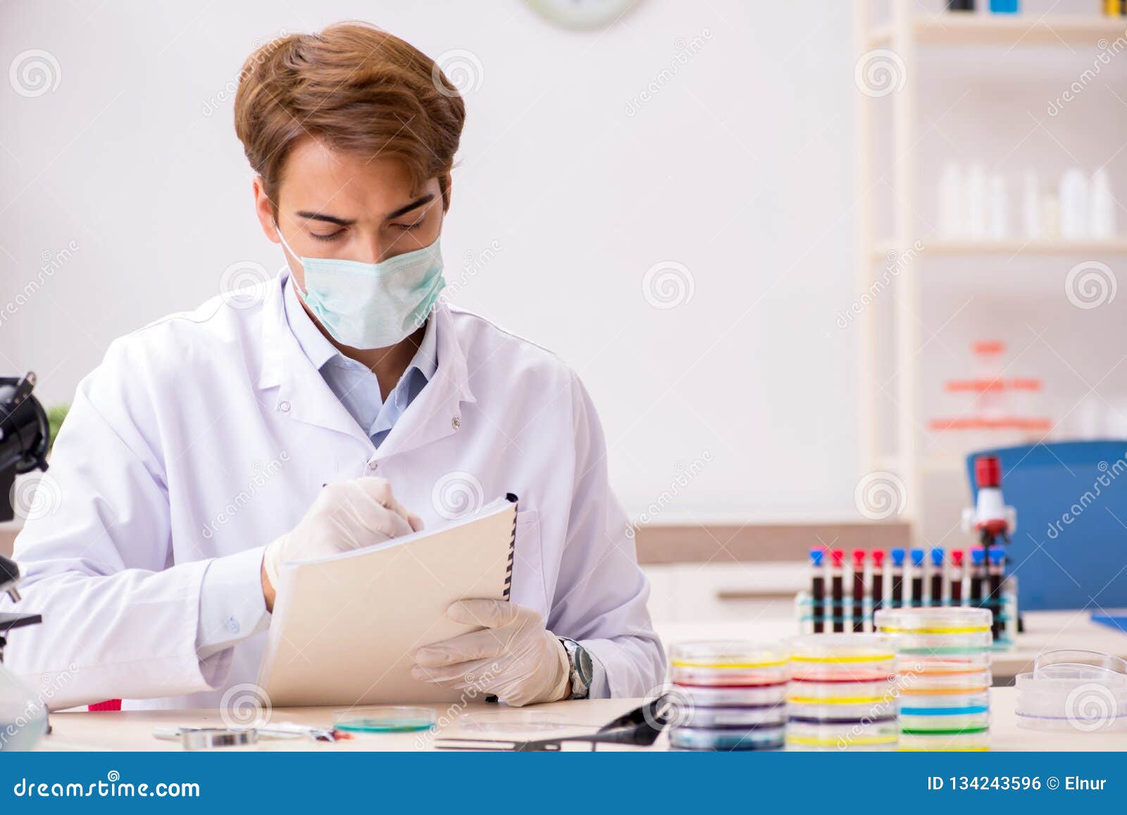 The Young Chemist Working in the Lab Stock Photo - Image of chemist ...