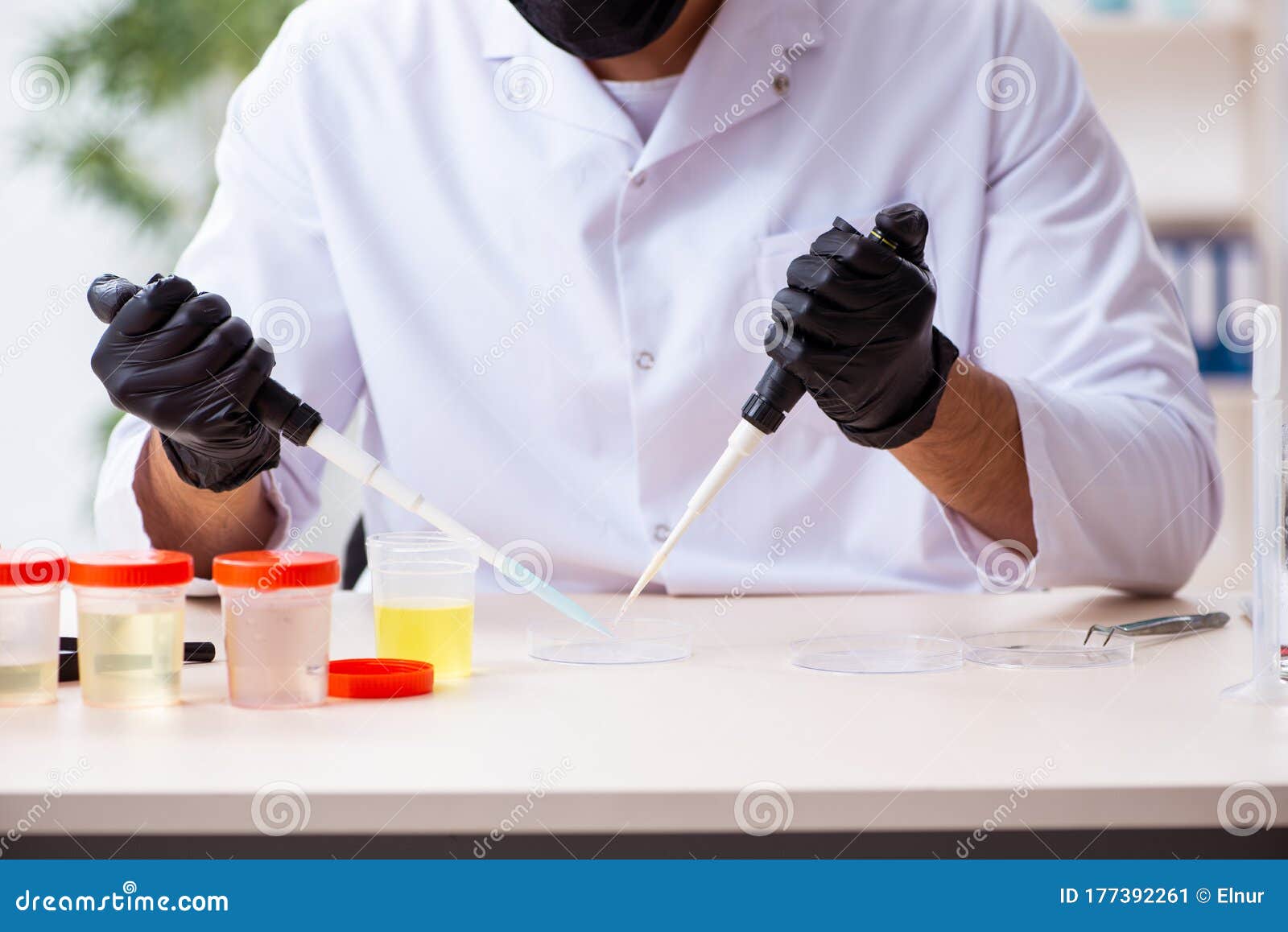 Young Male Chemist Working in the Lab Stock Image - Image of analysis ...