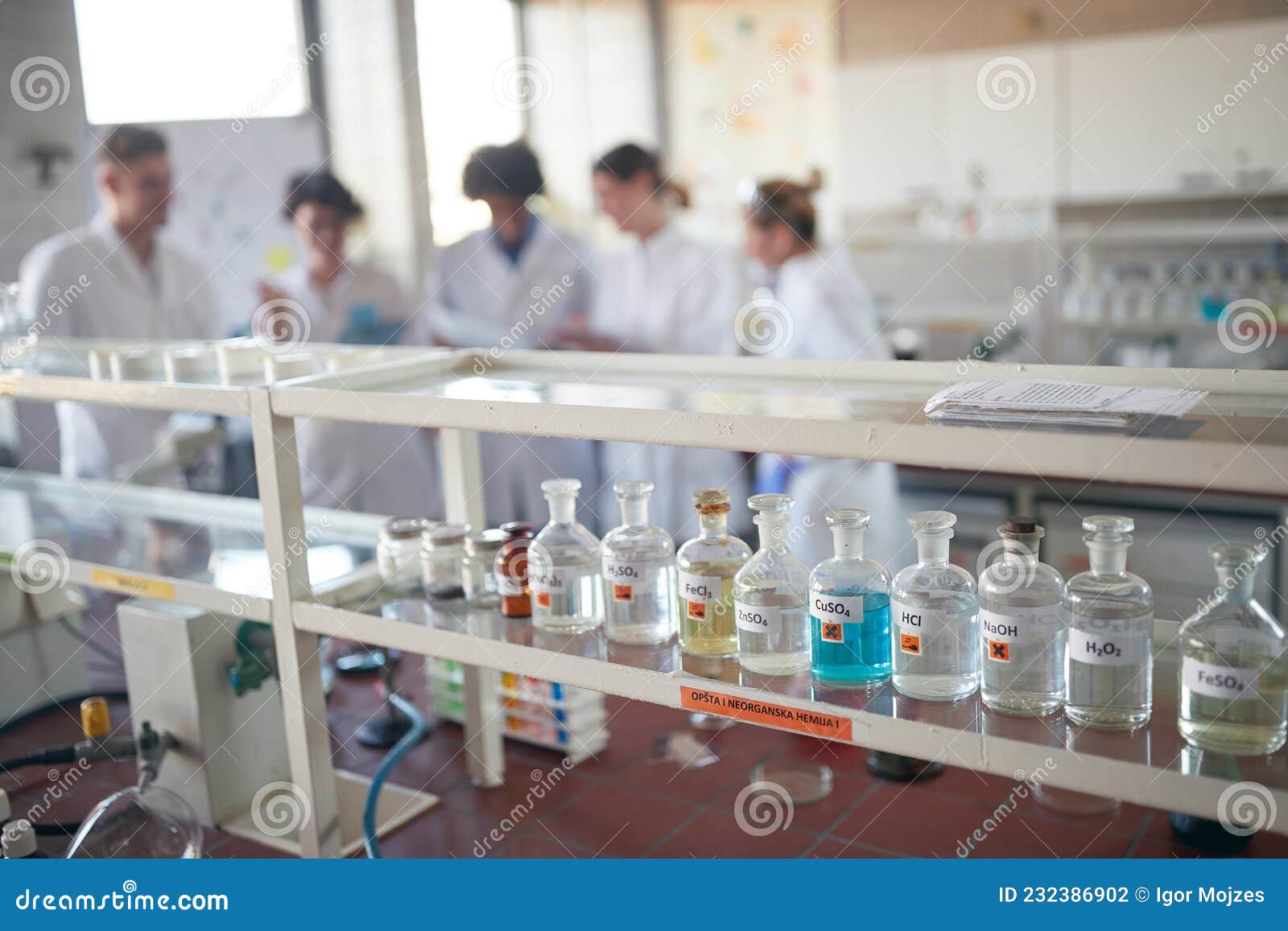 Young Chemistry Students Preparing for a Work in the University ...