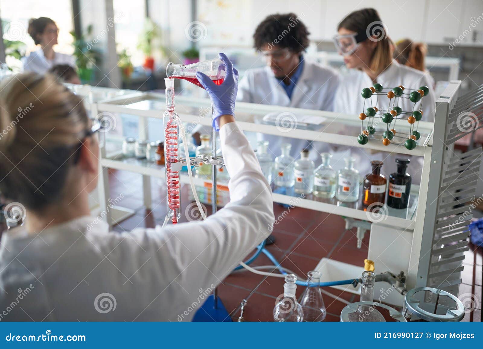 Young Chemistry Students Working on an Experiment in a Laboratory ...