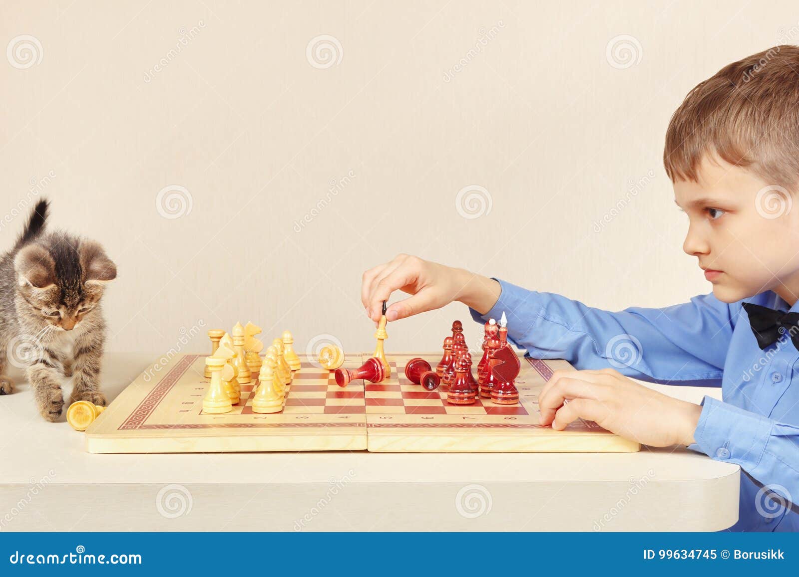 Young Chessplayer with Pretty Kitten Plays Chess. Stock Image - Image ...