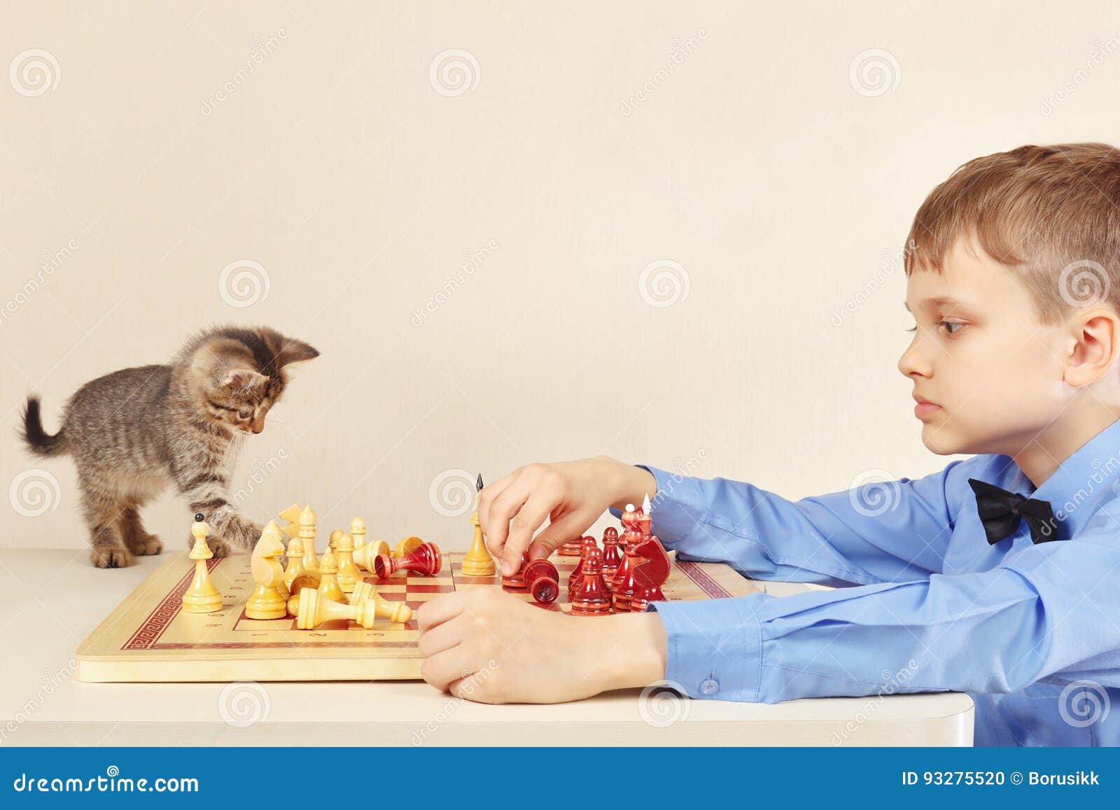 Young Chessplayer with Striped Kitten Plays Chess. Stock Photo - Image ...