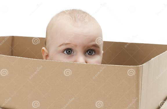 Young Child in Cardboard Box Stock Photo - Image of caucasian, isolated ...