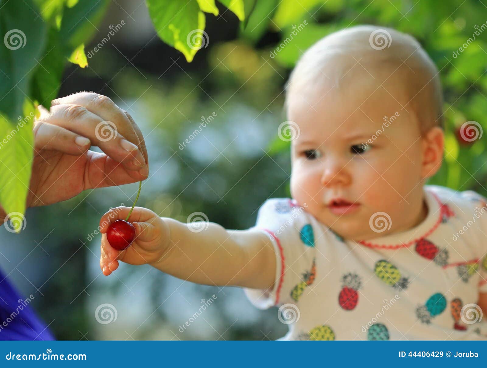 Child Catching Fish Netting Stock Photography | CartoonDealer.com ...