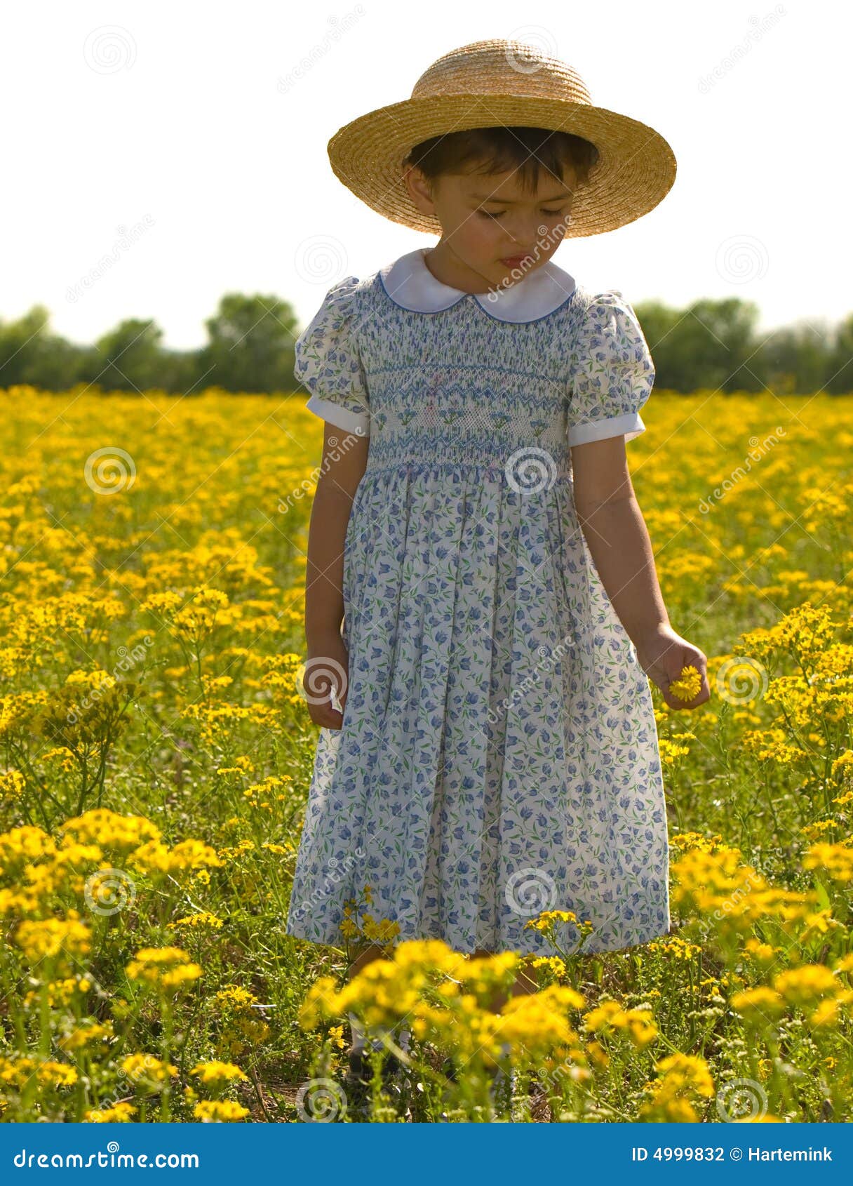 Young Child in Field of Yellow Flowers Stock Photo - Image of people ...