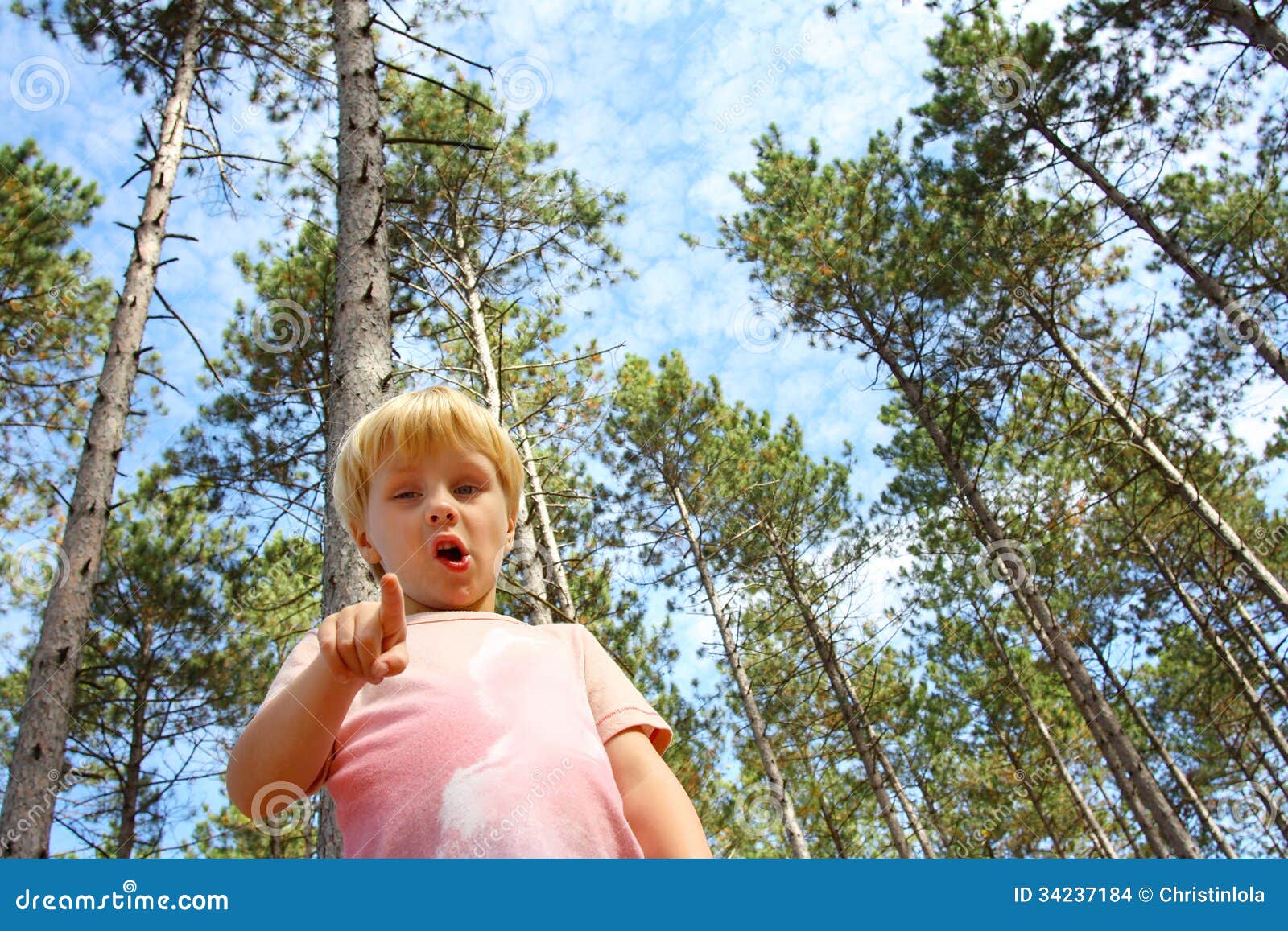 Young Child in Forest Pointing at Camera Stock Photo - Image of earth ...