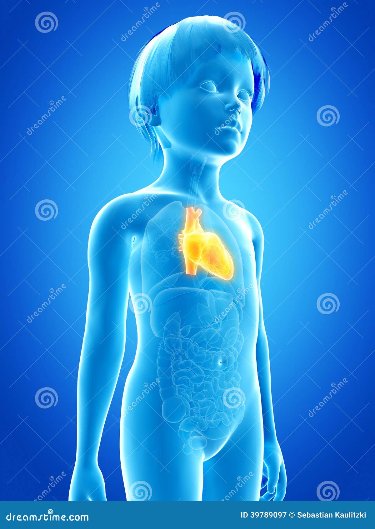 Young child - heart stock illustration. Illustration of sick - 39789097