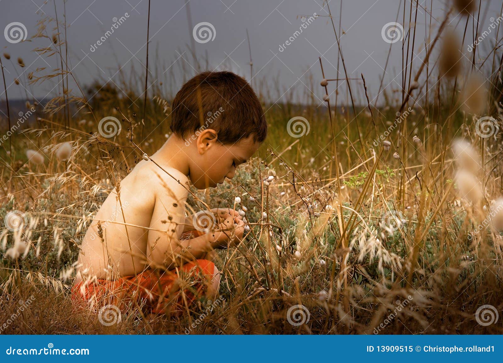 Young child in nature stock image. Image of nature, forest - 13909515