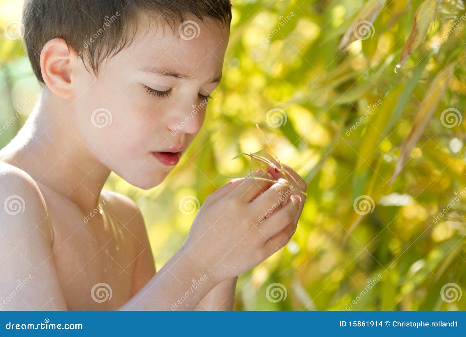 Young child in nature stock photo. Image of ecology, calm - 15861914