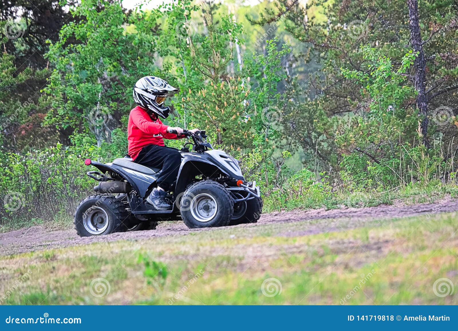 A Young Child Rides a Quad in a Forest Stock Photo - Image of quad ...