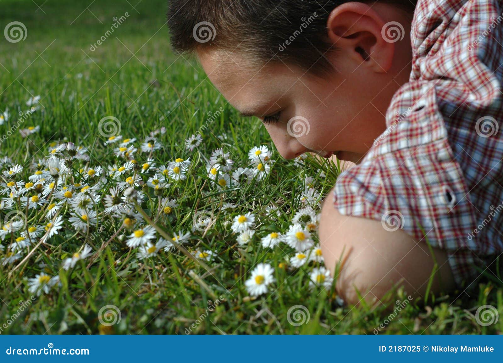Young Child Smelling Flowers Stock Image - Image of peace, blooming ...