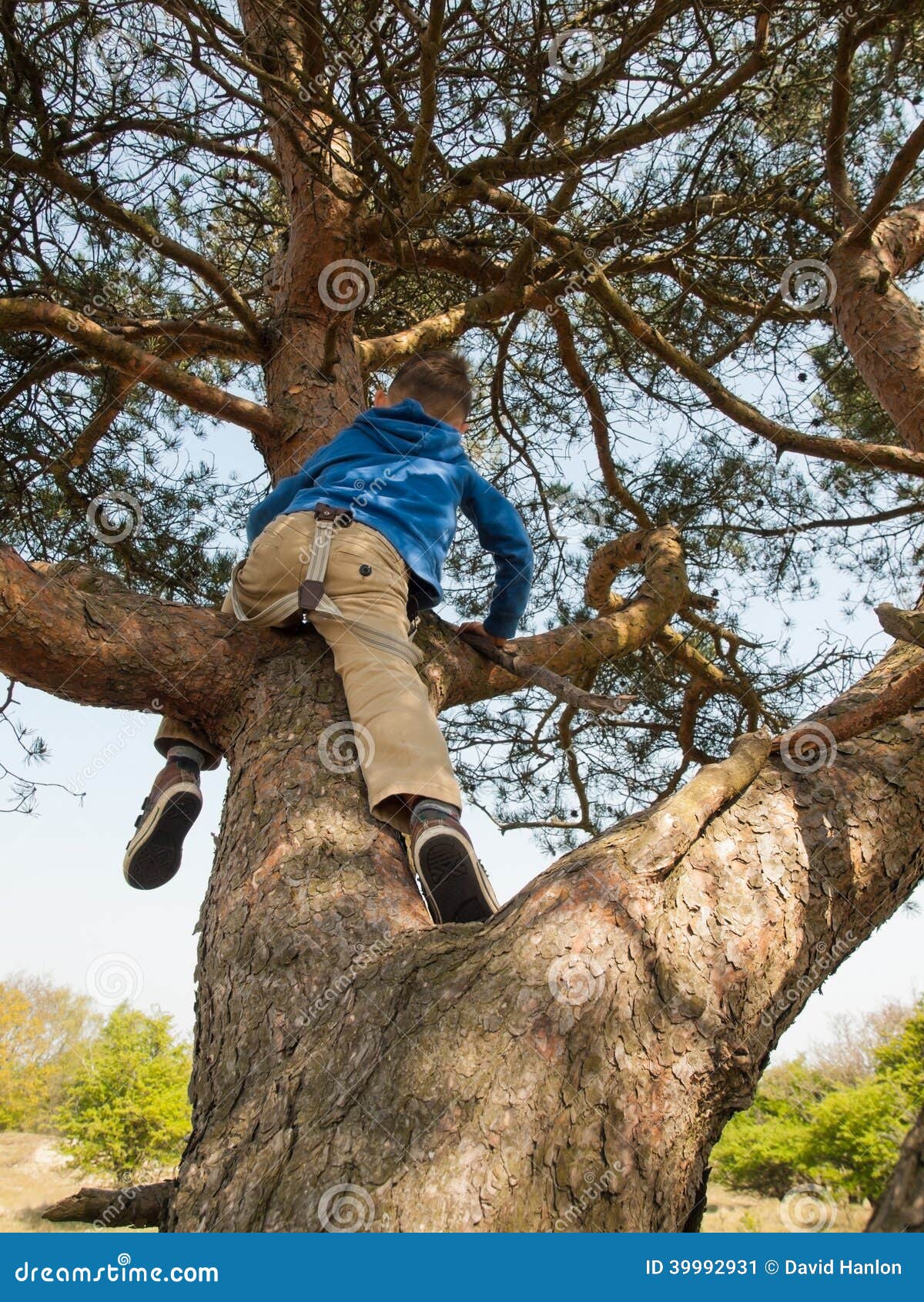 Young child tree climbing stock image. Image of wild - 39992931