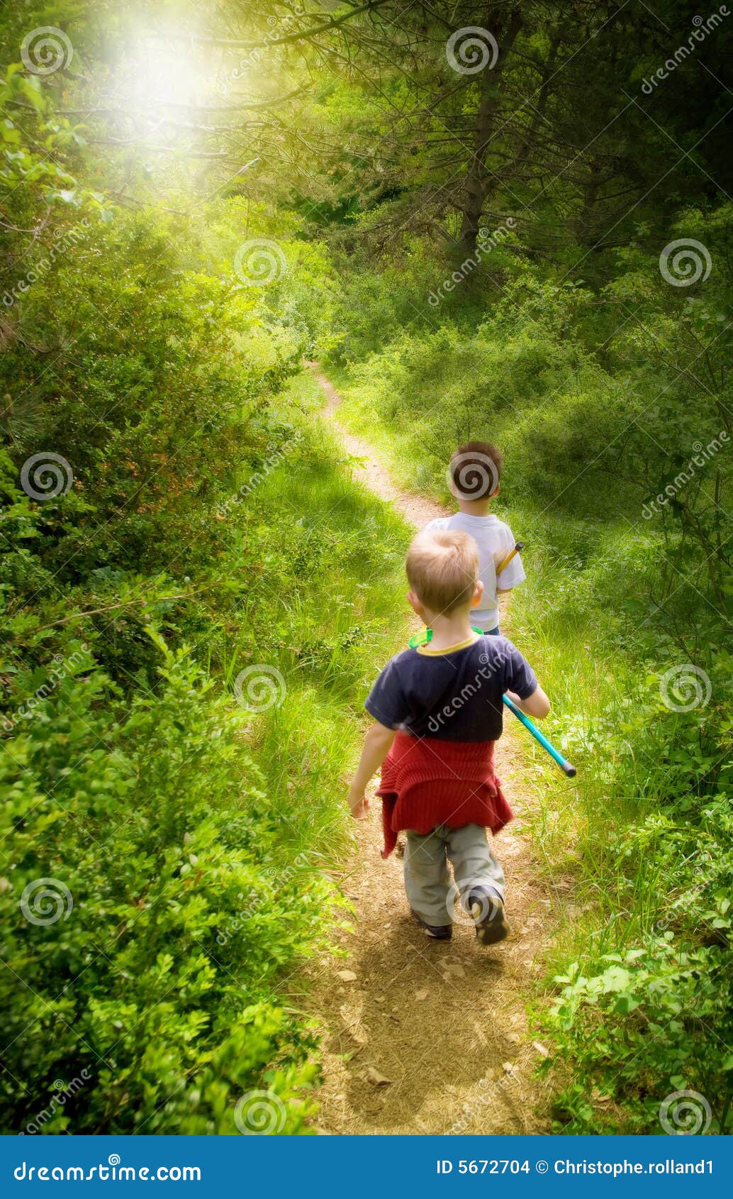 Young children in forest stock photo. Image of child, children - 5672704