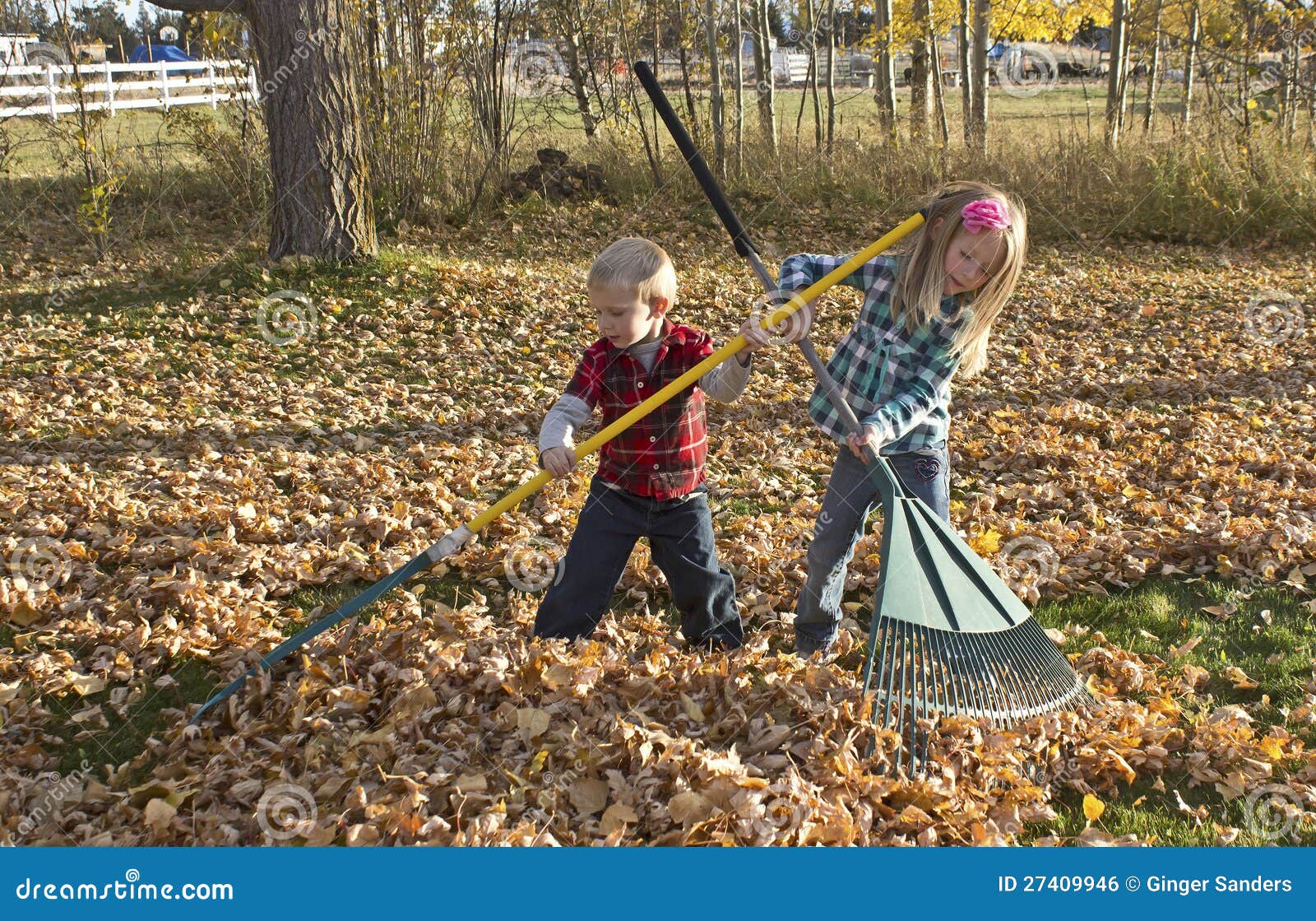 Young Children Raking Autumn Leaves Stock Photo - Image of fall, raking ...
