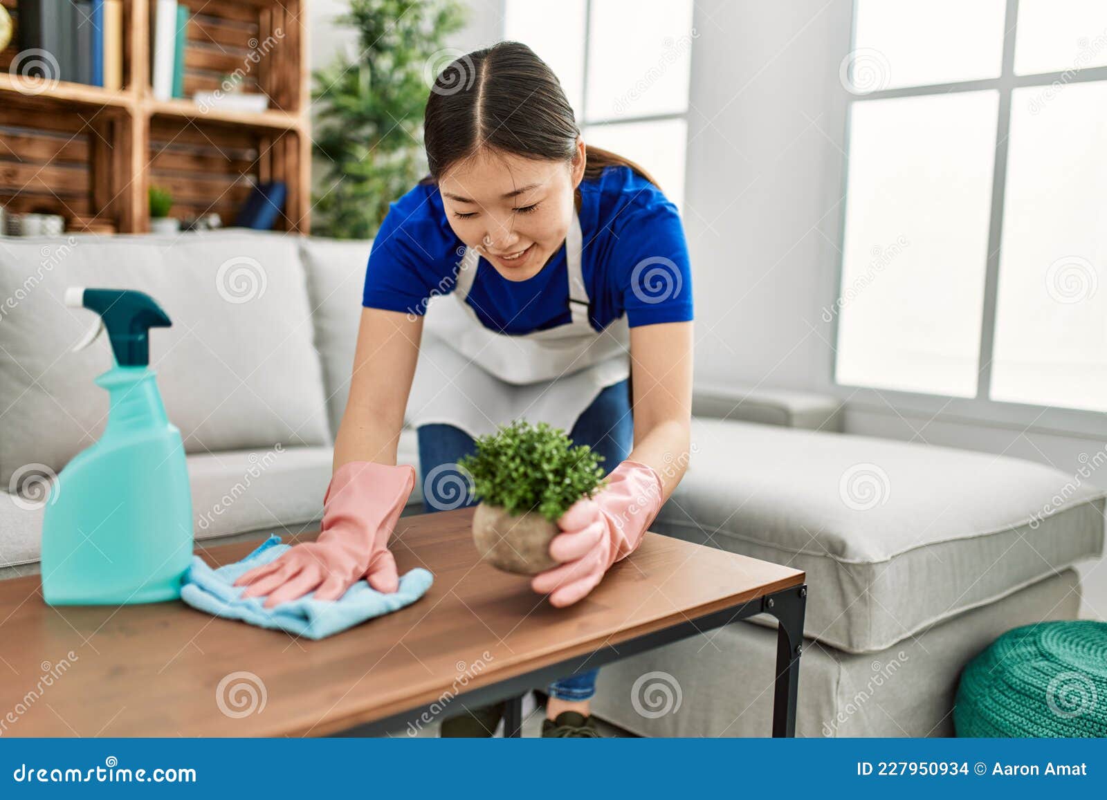 Young Chinese Housewife Cleaning Table Using Diffuser and Rag at Home ...