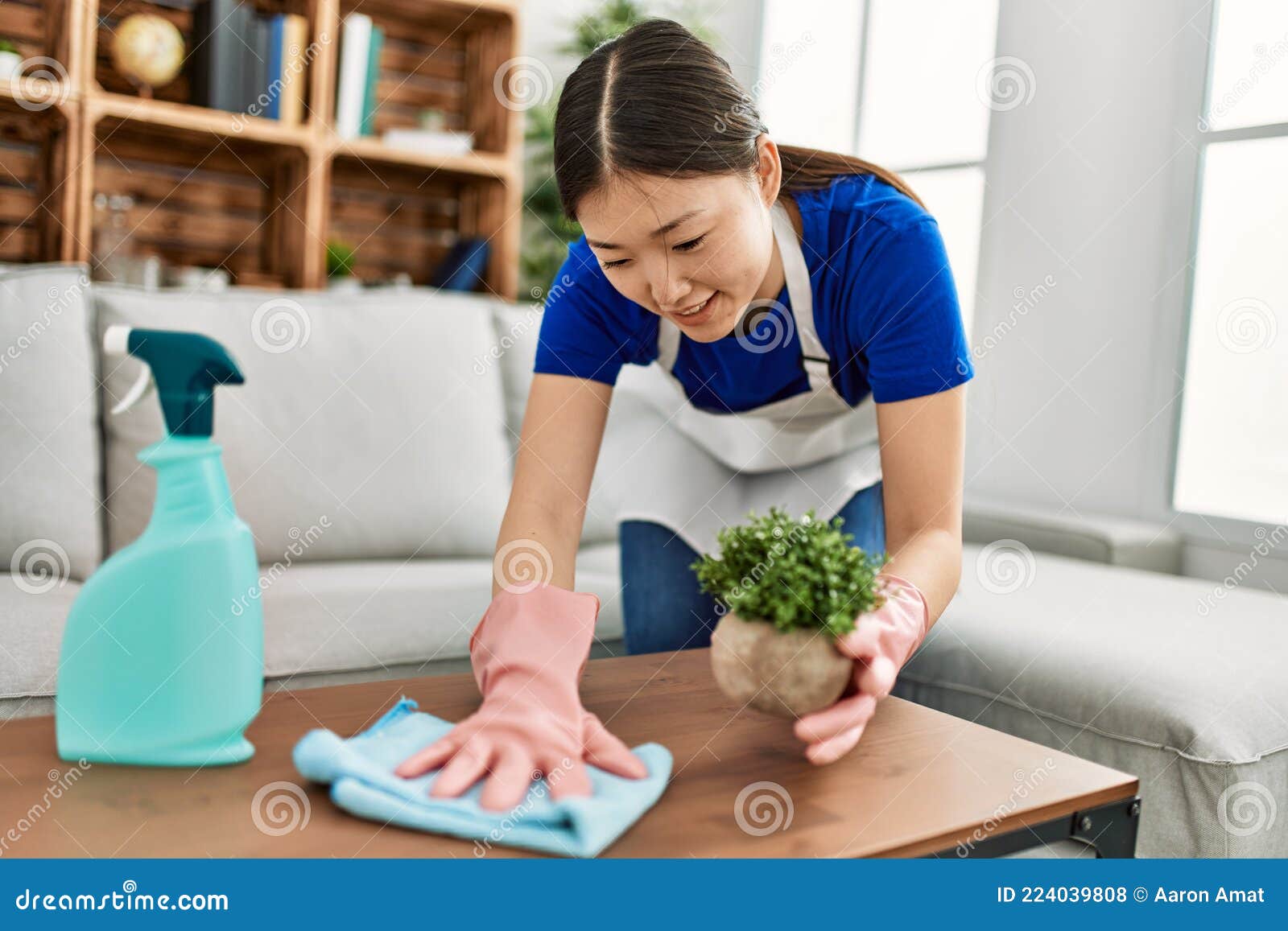 Young Chinese Housewife Cleaning Table Using Diffuser and Rag at Home ...