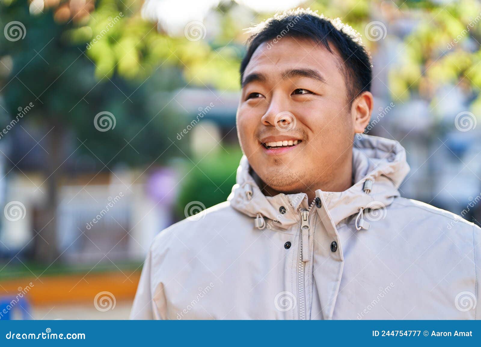 Young Chinese Man Smiling Confident Standing at Park Stock Image ...