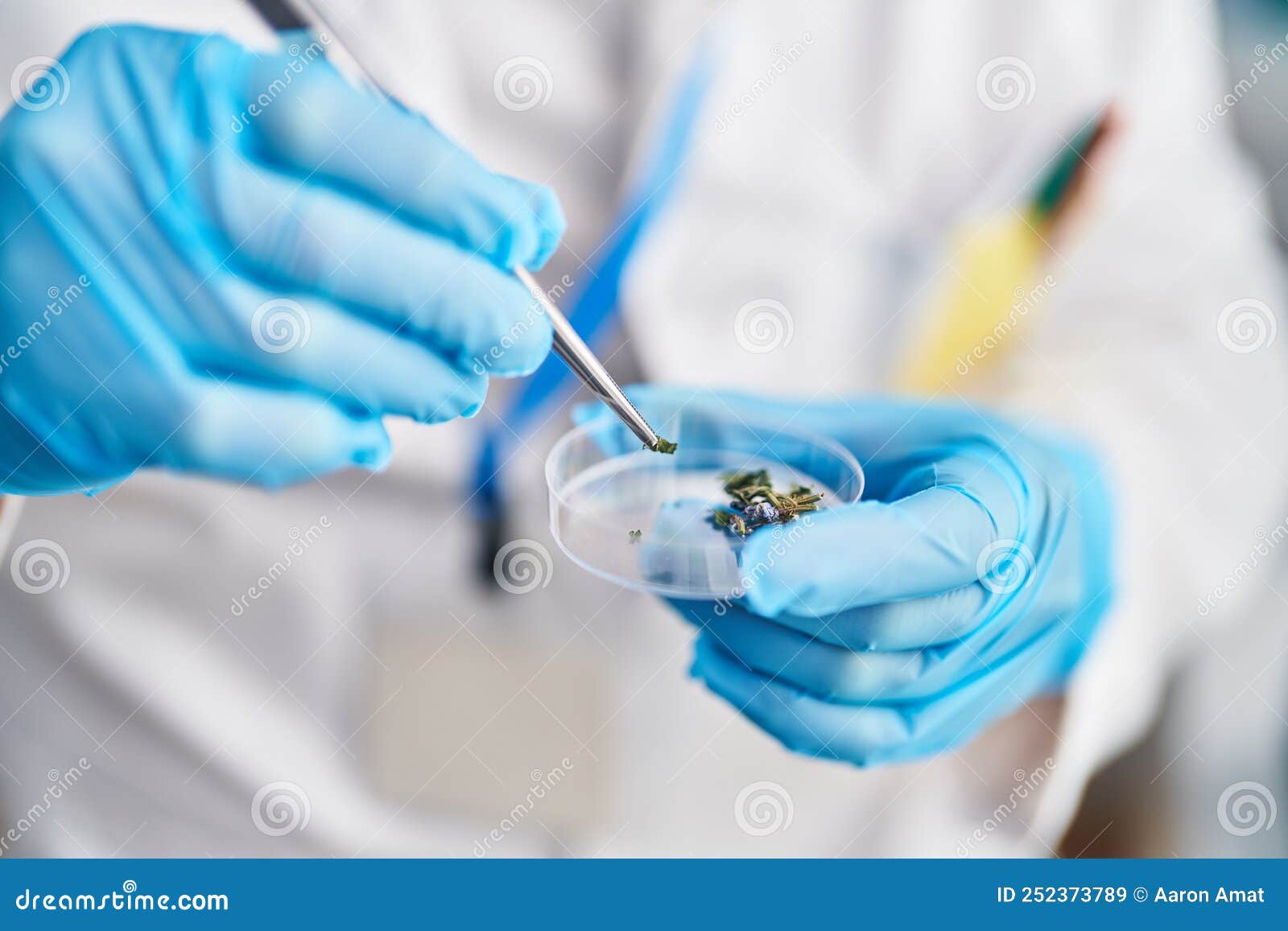 Young Chinese Man Wearing Scientist Uniform Working at Laboratory Stock ... Young Chinese Man Wearing Scientist Uniform Working at Laboratory Stock ...