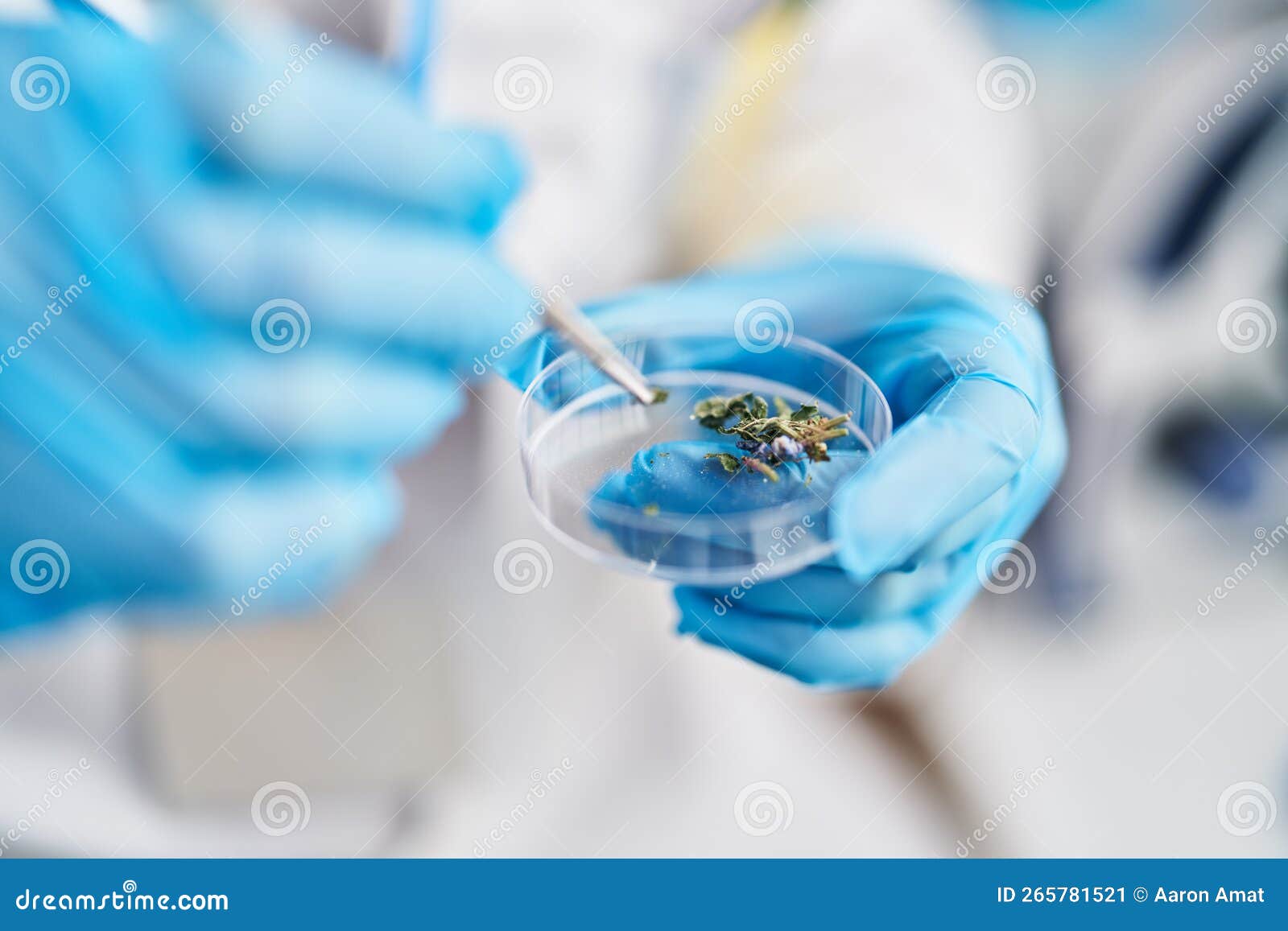 Young Chinese Man Wearing Scientist Uniform Working at Laboratory Stock ... Young Chinese Man Wearing Scientist Uniform Working at Laboratory Stock ...